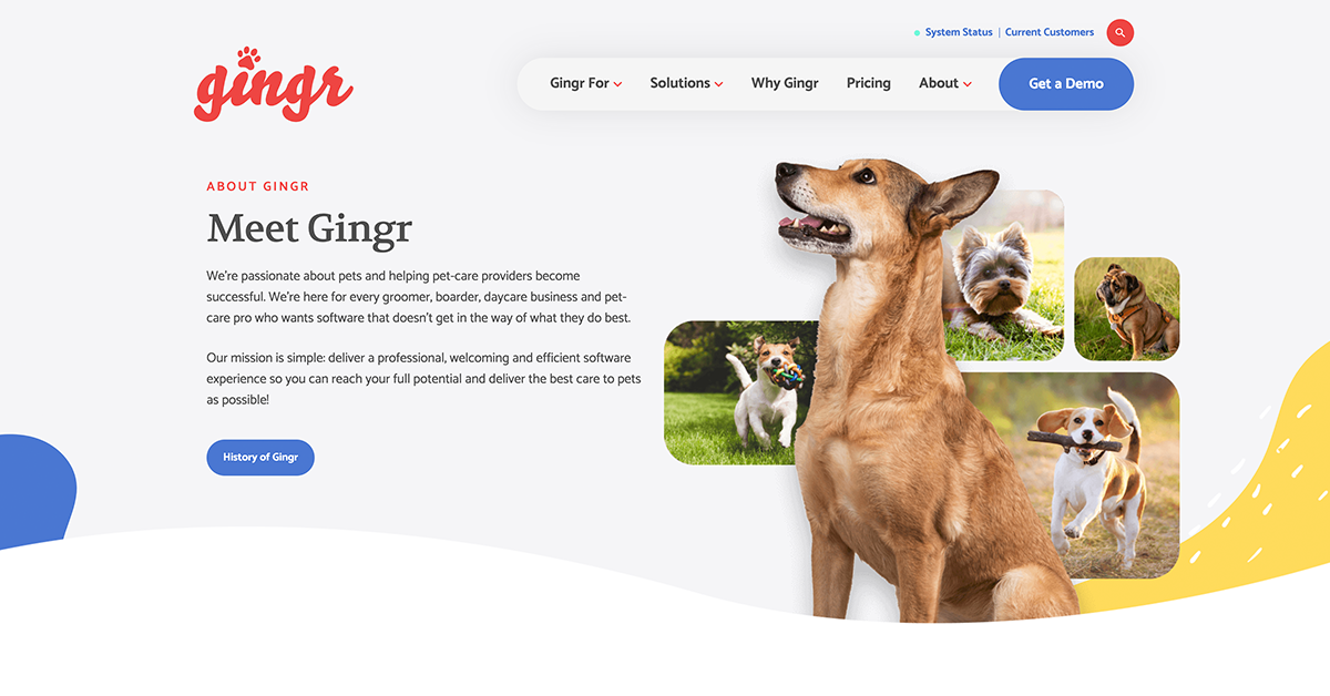 Learn More About Gingr's Team & Our Goals | Gingr