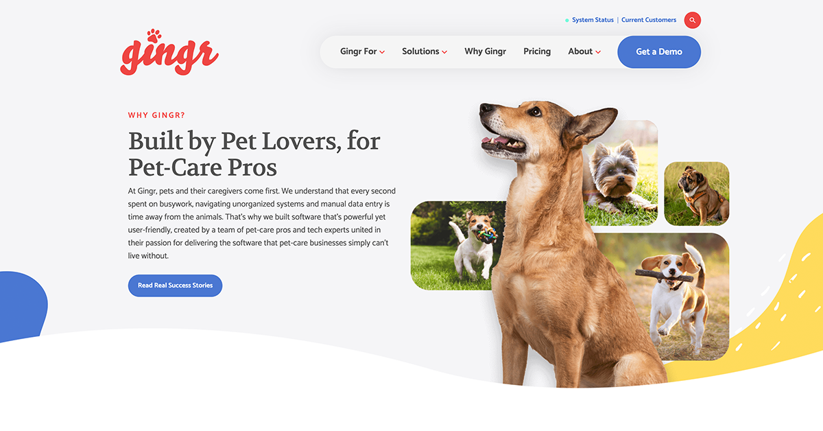 Why Gingr Pet-Care Software For Pet Care Businesses | Gingr