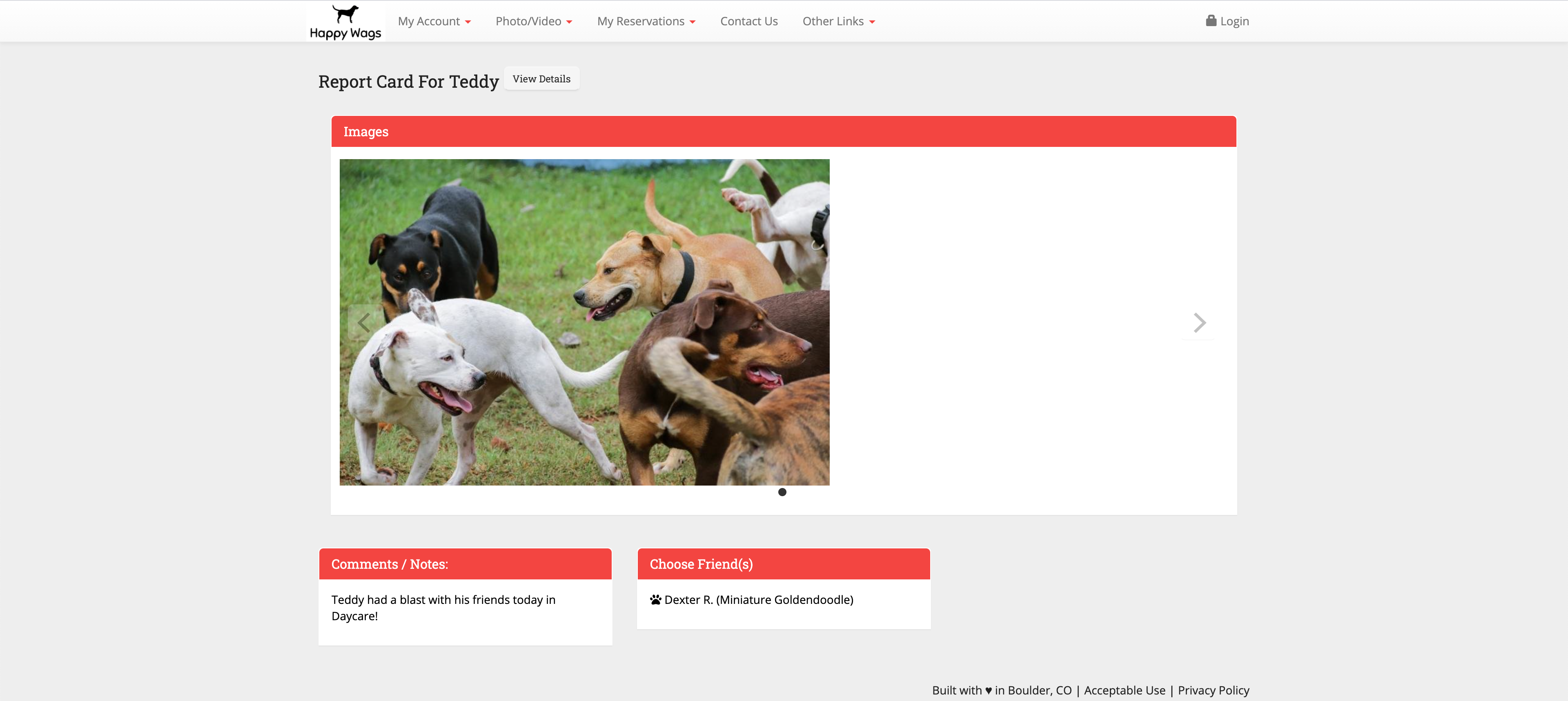 Dog Daycare Software by Gingr
